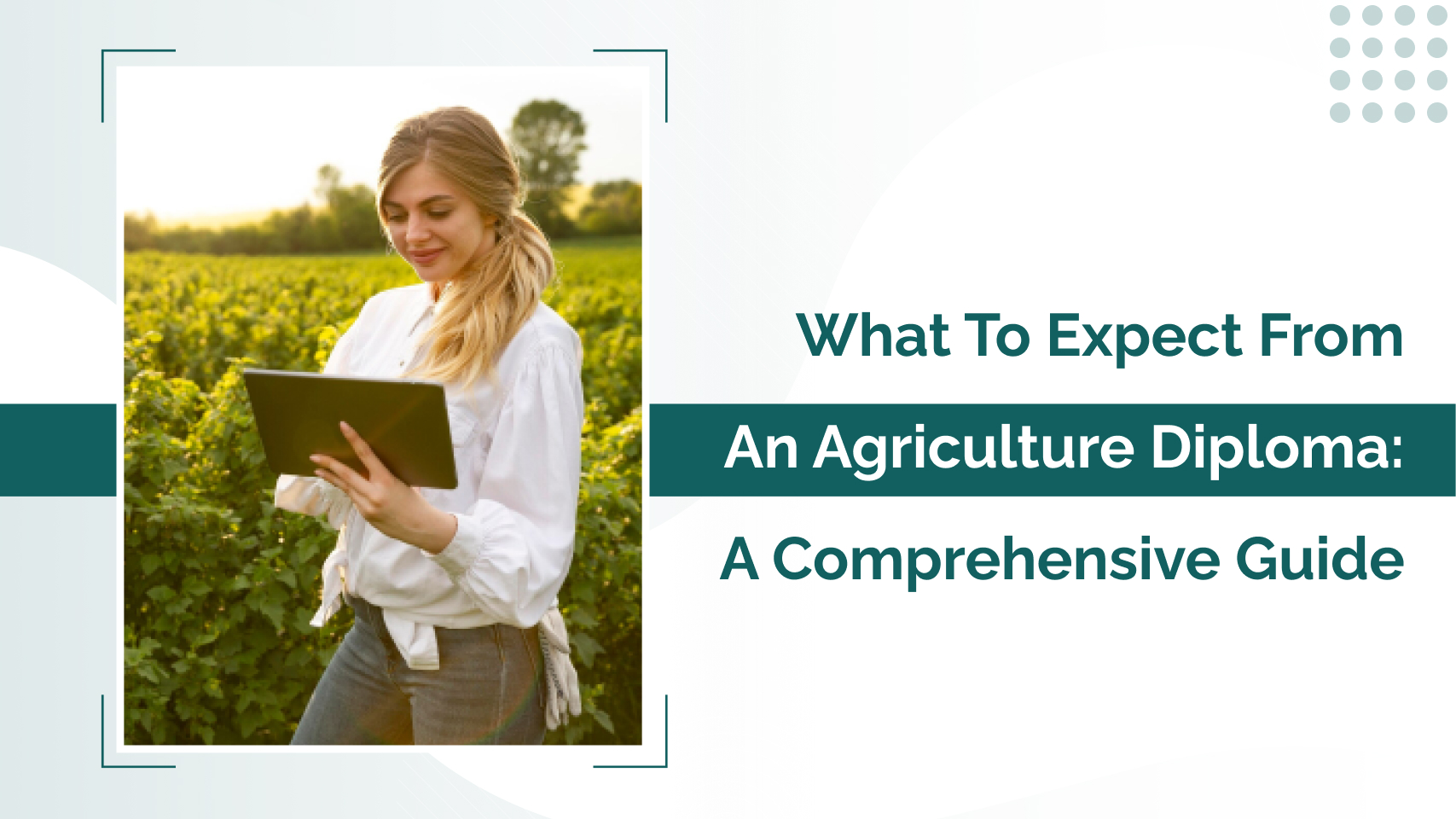 What to Expect from an Agriculture Diploma: A Comprehensive Guide ...